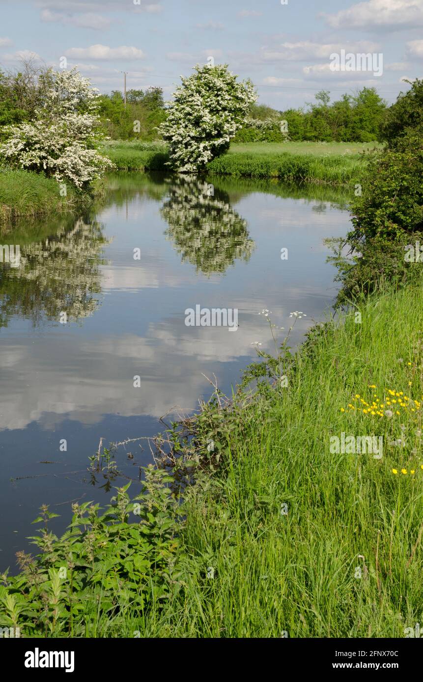 River Stort Harlow Stock Photo - Alamy