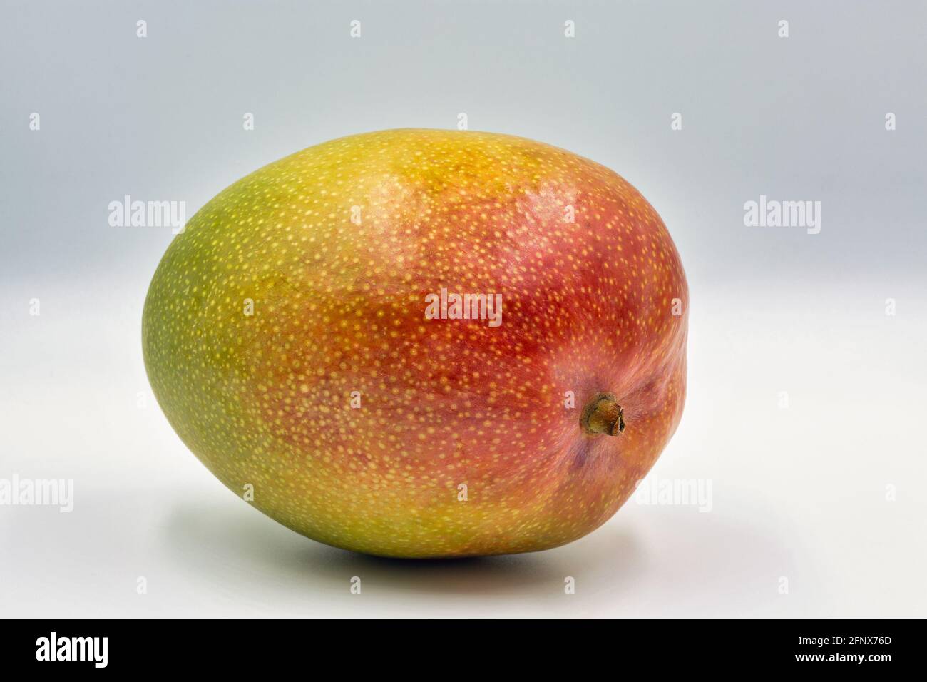 One whole mango fruit closeup against on white background Stock Photo ...