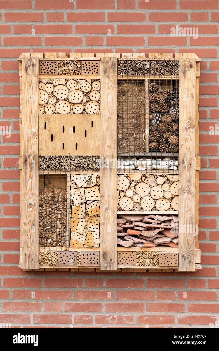 Insect hotel hanging on a brick wall and made of natural materials like ...