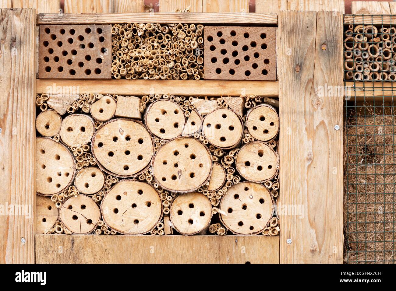 Apartment insects hi-res stock photography and images - Alamy