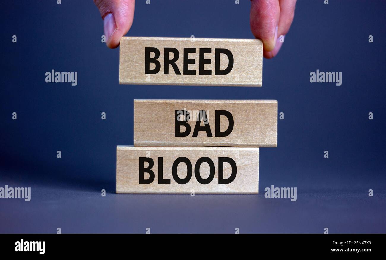 Breed bad blood symbol. Businessman holds wooden block with words ...