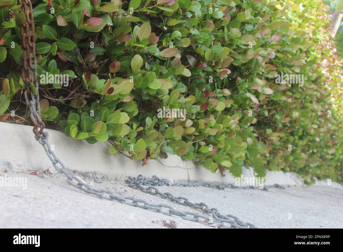 Chain on the ground Stock Photo - Alamy