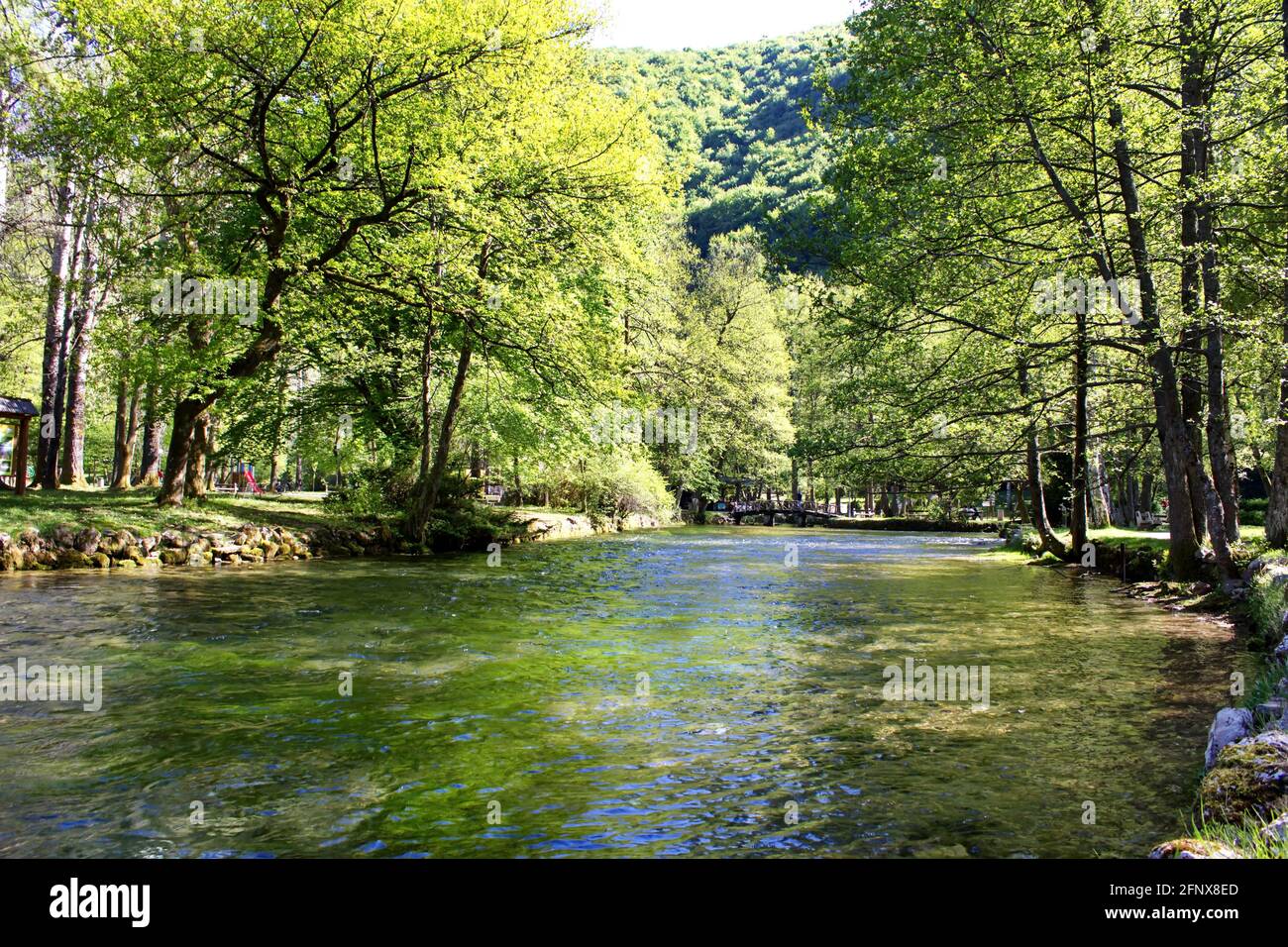 Bosna river in Vrelo Bosne park in Sarajevo, Bosnia and Herzegovina ...