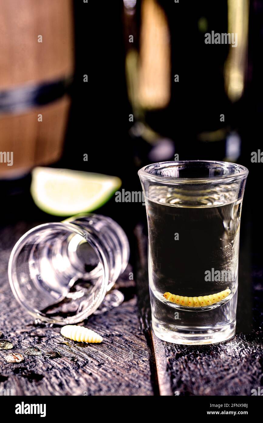 Tequila worm hi-res stock photography and images - Alamy