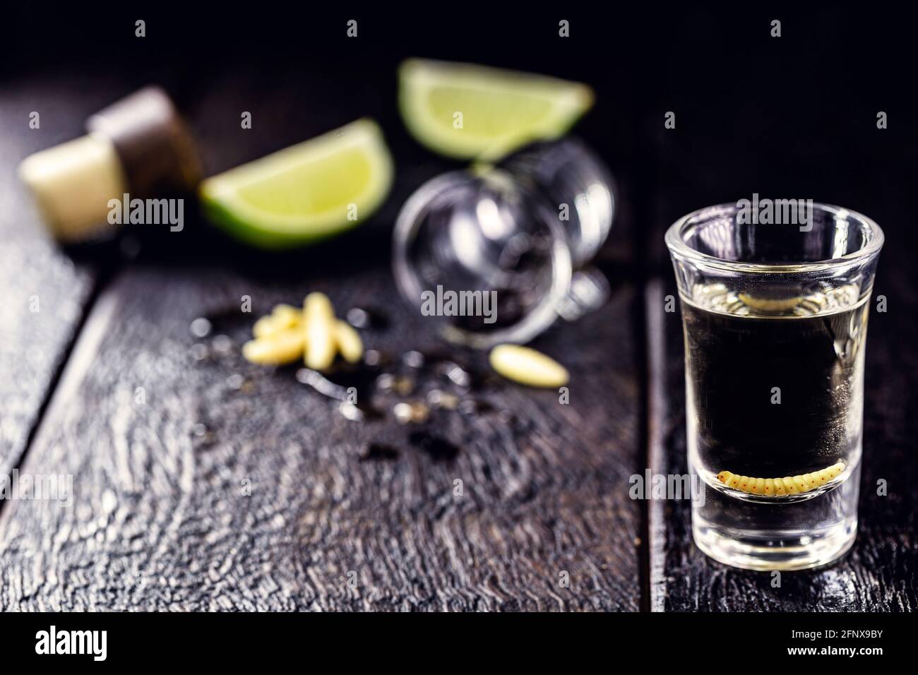 Tequila worm hi-res stock photography and images - Alamy