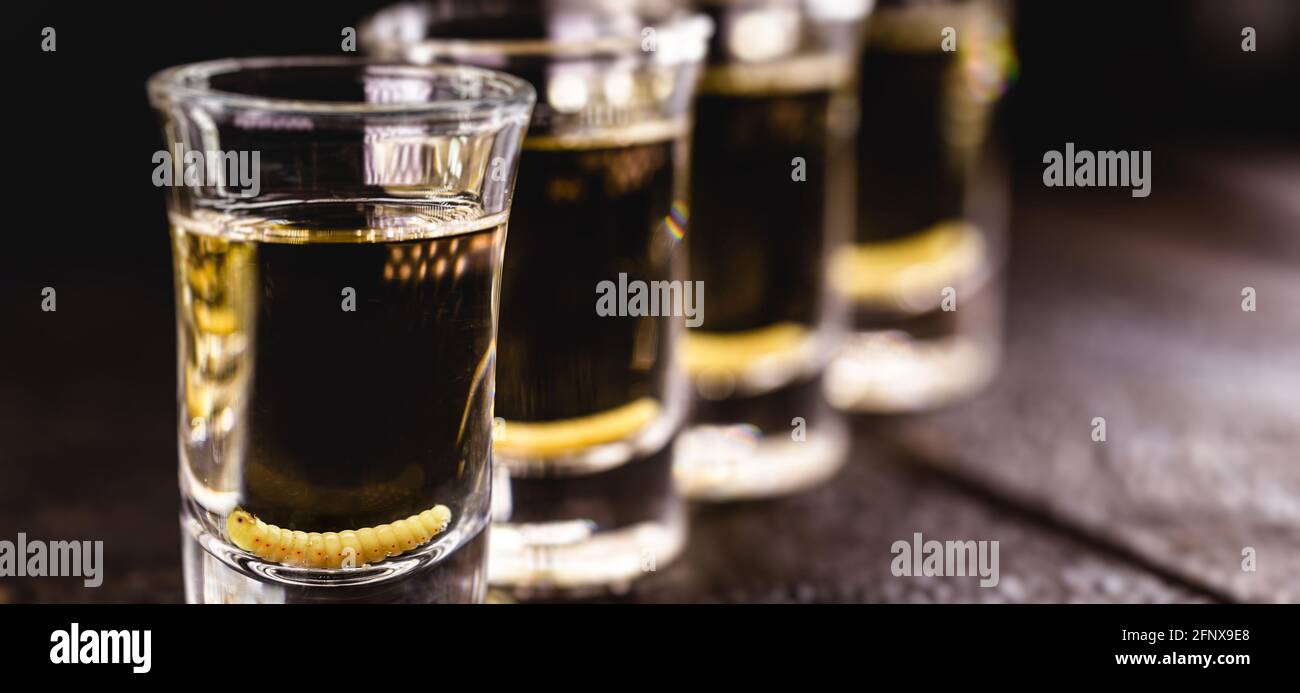 several glasses of Mezcal (or mescal) is an exotic alcoholic drink from ...