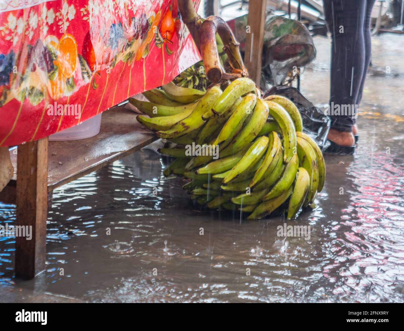 A bunch of bananas is lying on the ground in a pool of water during the ...