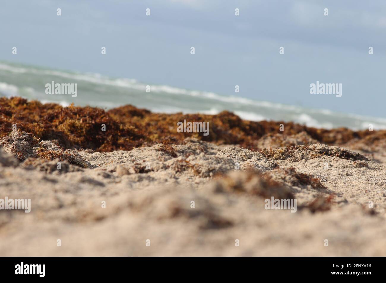 Tropical beach patterns hi-res stock photography and images - Alamy