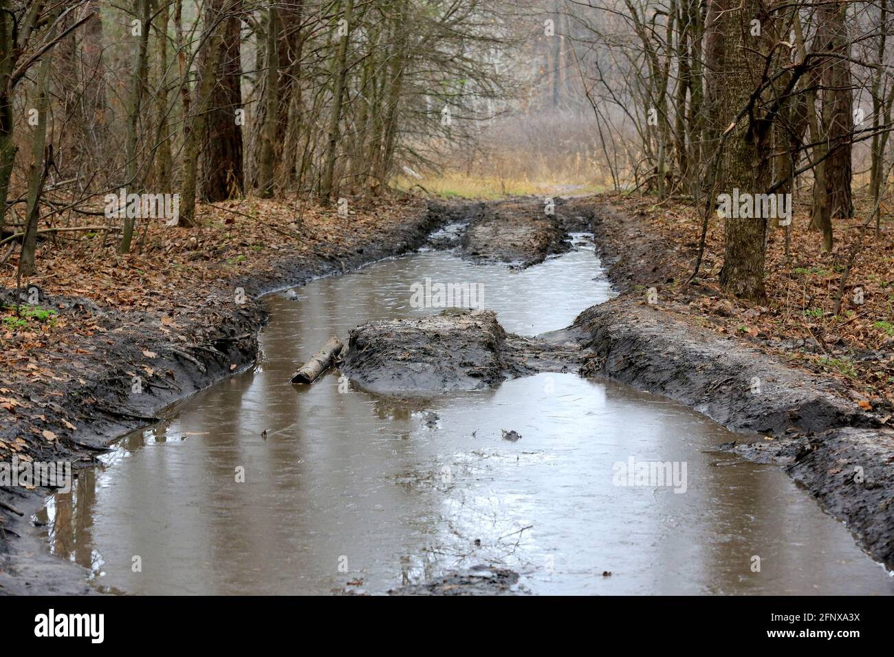 Landscape with deep puddles on the road in the autumn forest Stock ...