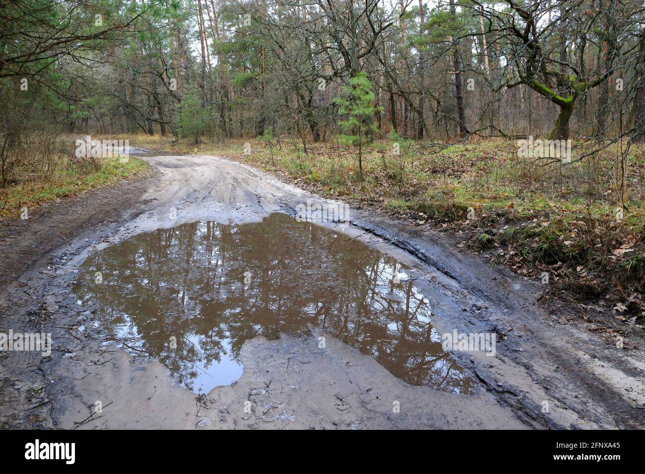 Puddle on ground hi-res stock photography and images - Alamy