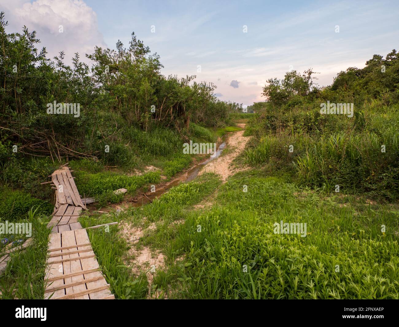 Amazon river basin hi-res stock photography and images - Alamy
