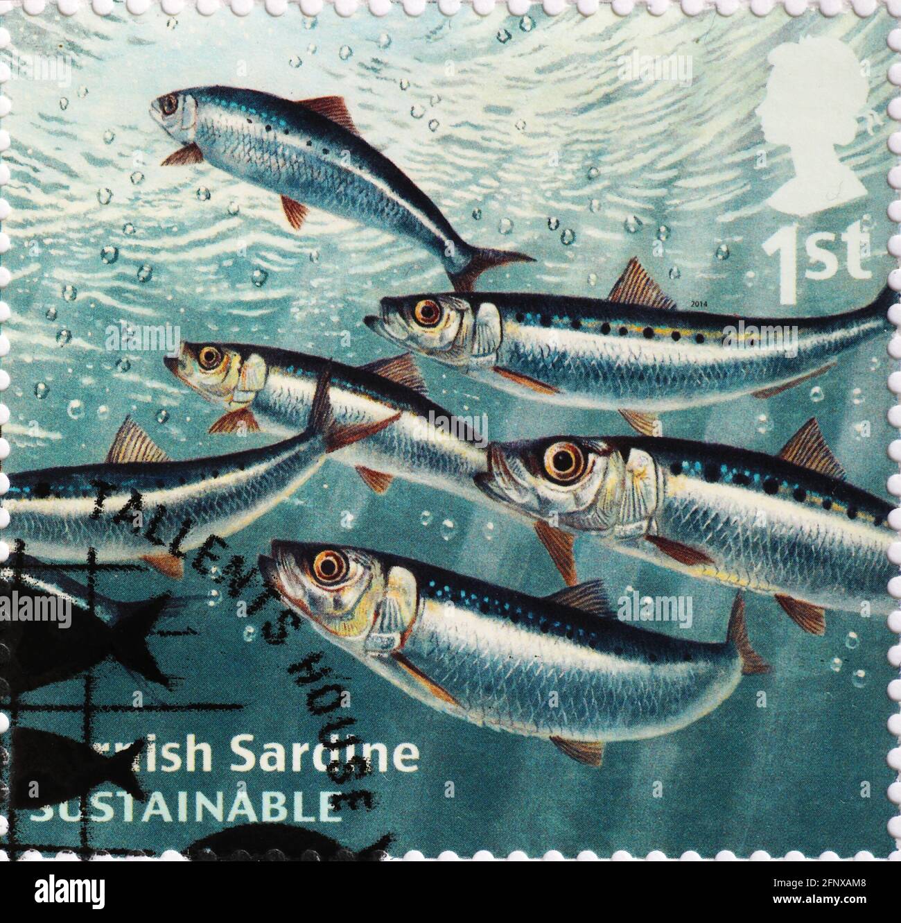 Cornish sardines on british postage stamp Stock Photo - Alamy