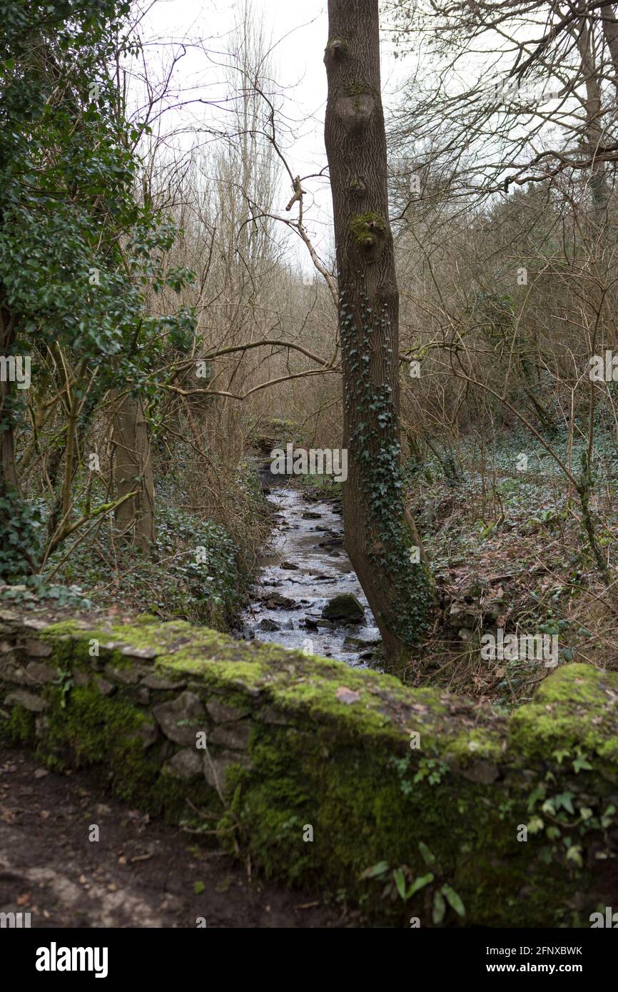 River trym hi-res stock photography and images - Alamy