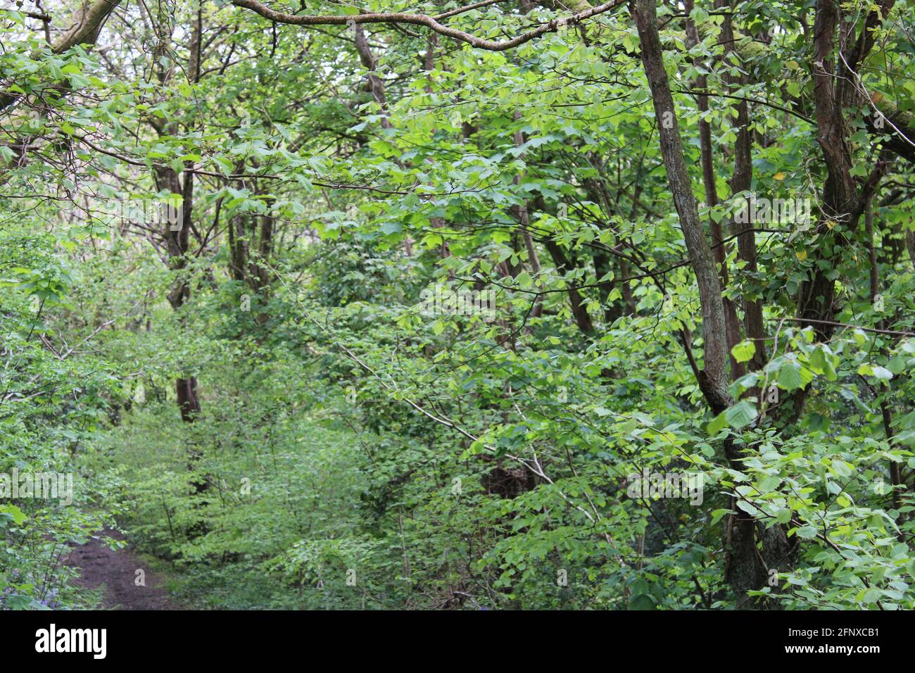 Torrington commons hi-res stock photography and images - Alamy