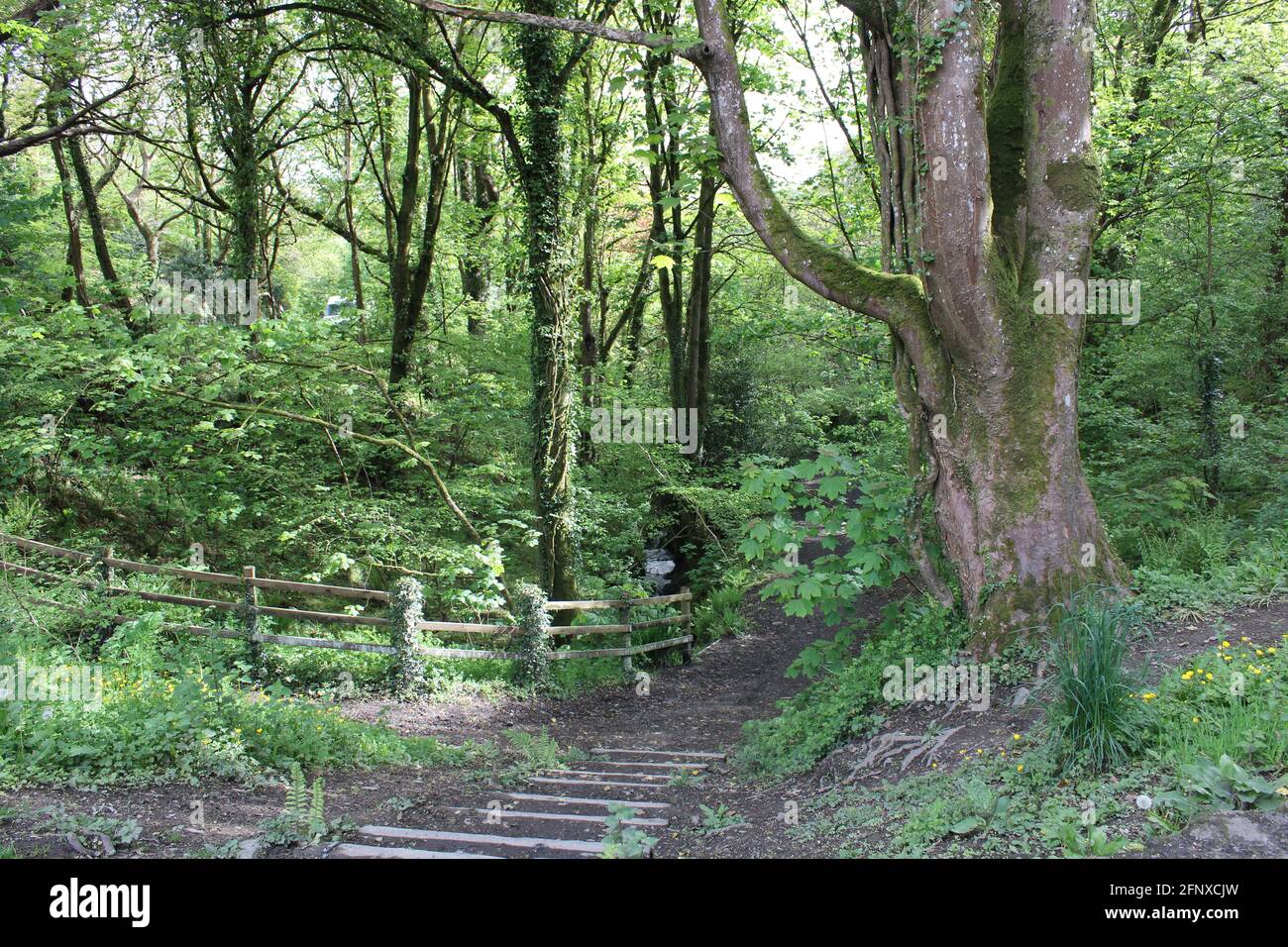 walk in the stuning nature of North Devon area Stock Photo - Alamy