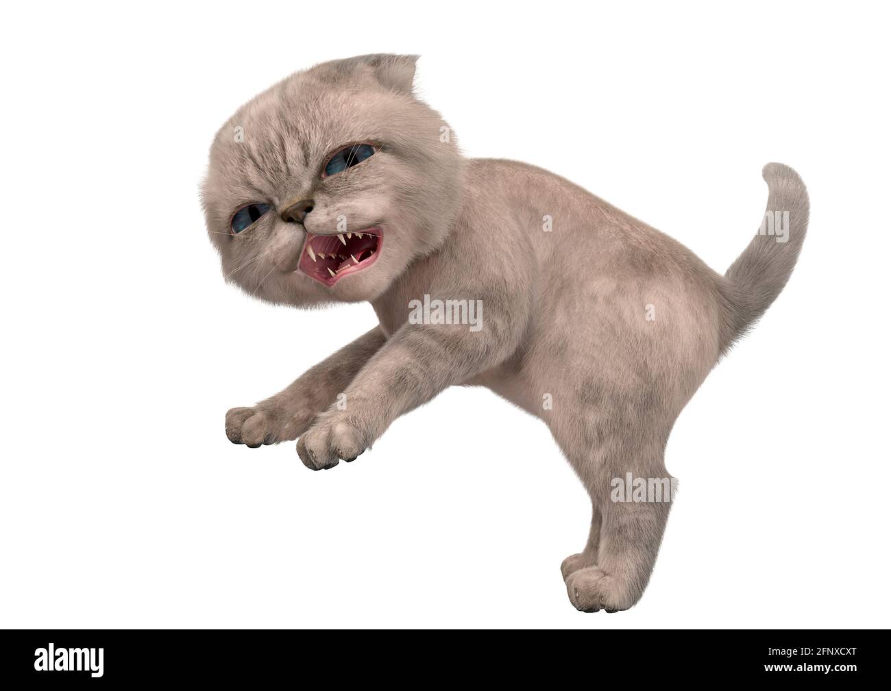 cute cat in fighting pose, 3d illustration Stock Photo - Alamy