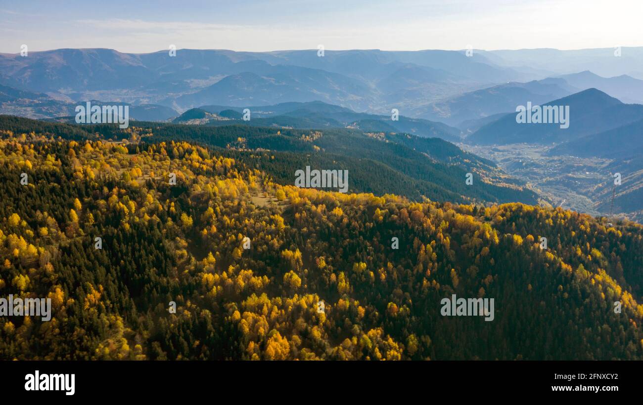 Mist and forest combination hi-res stock photography and images - Alamy
