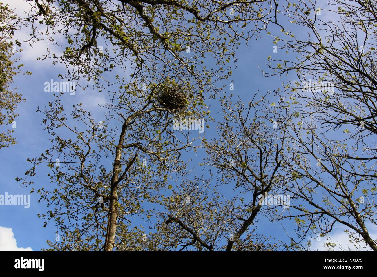 walk in the stuning nature of North Devon area Stock Photo - Alamy