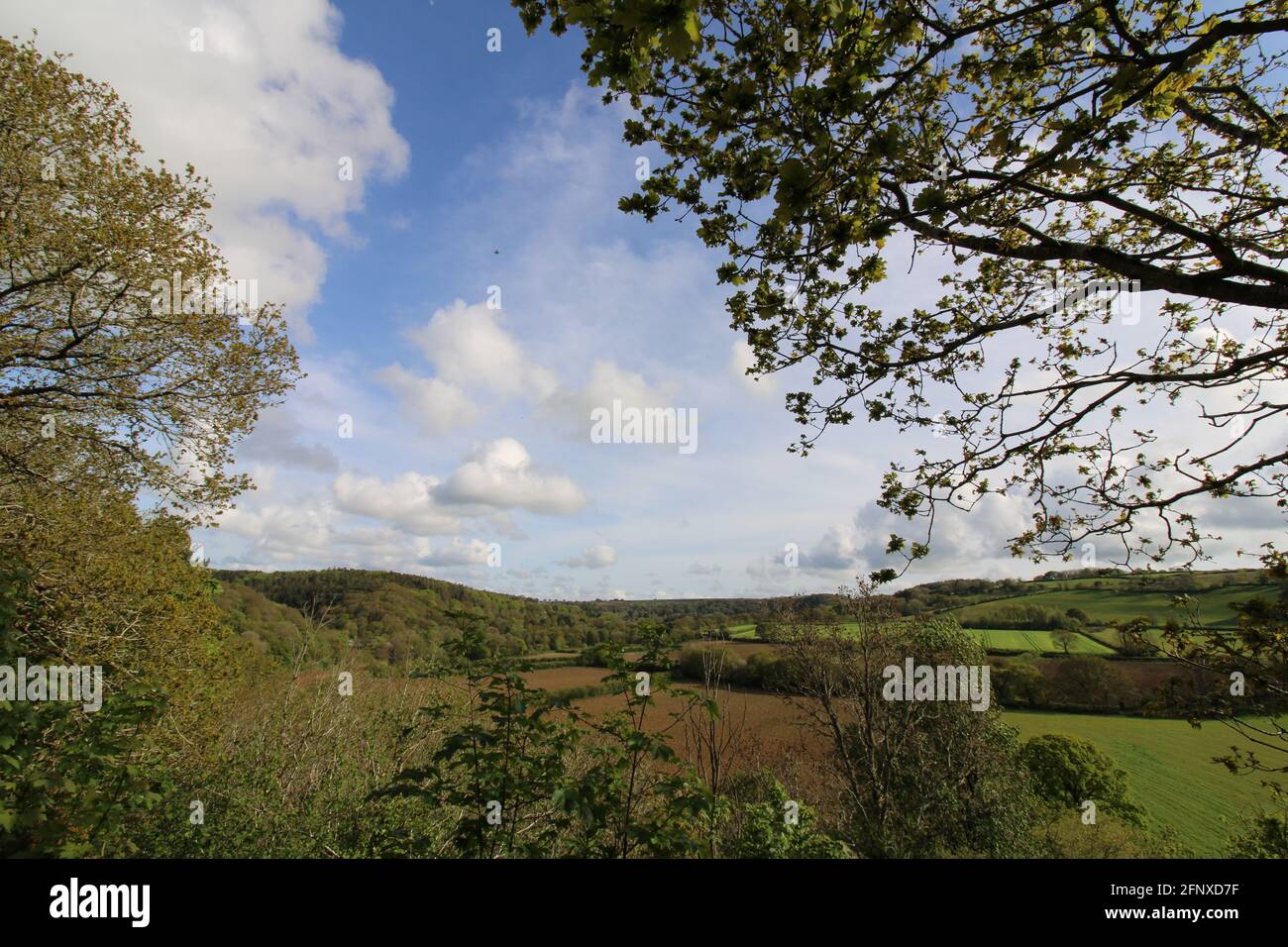 walk in the stuning nature of North Devon area Stock Photo - Alamy