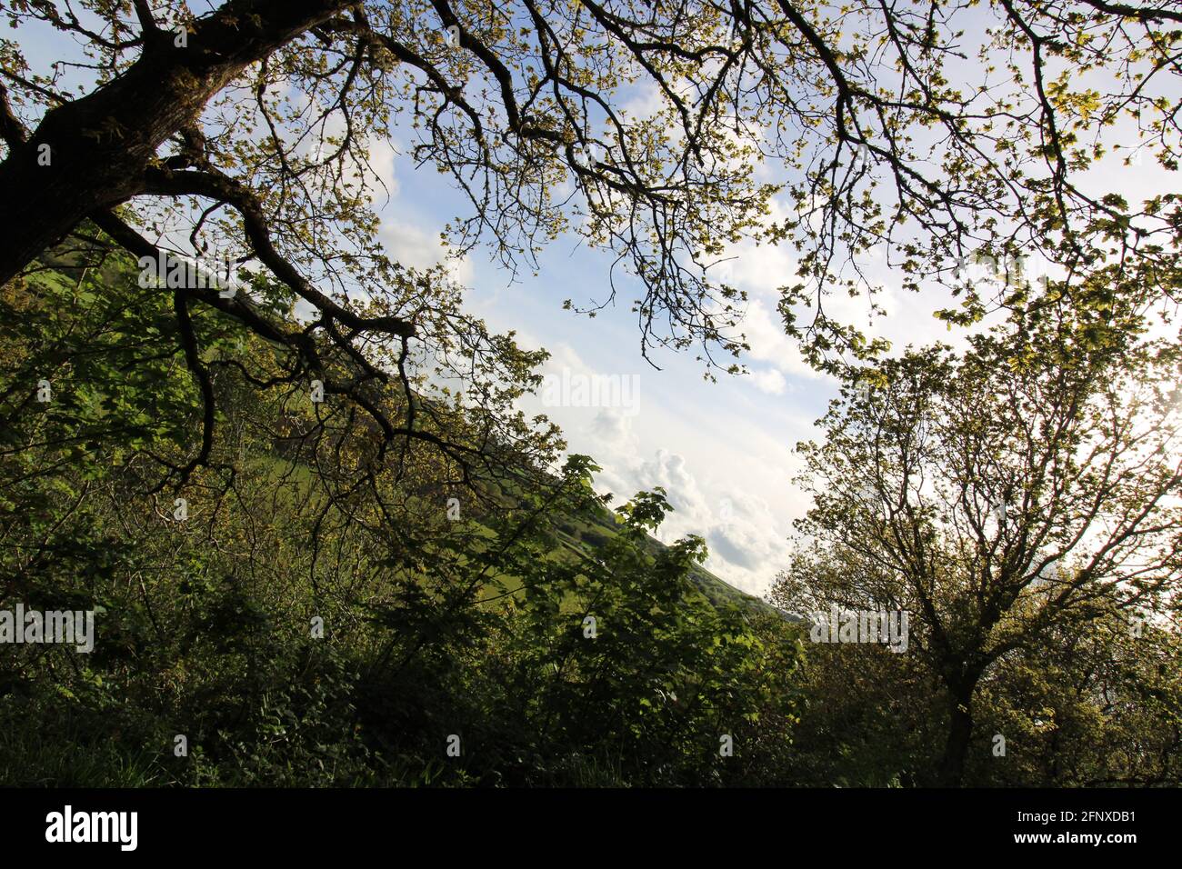 walk in the stuning nature of North Devon area Stock Photo - Alamy
