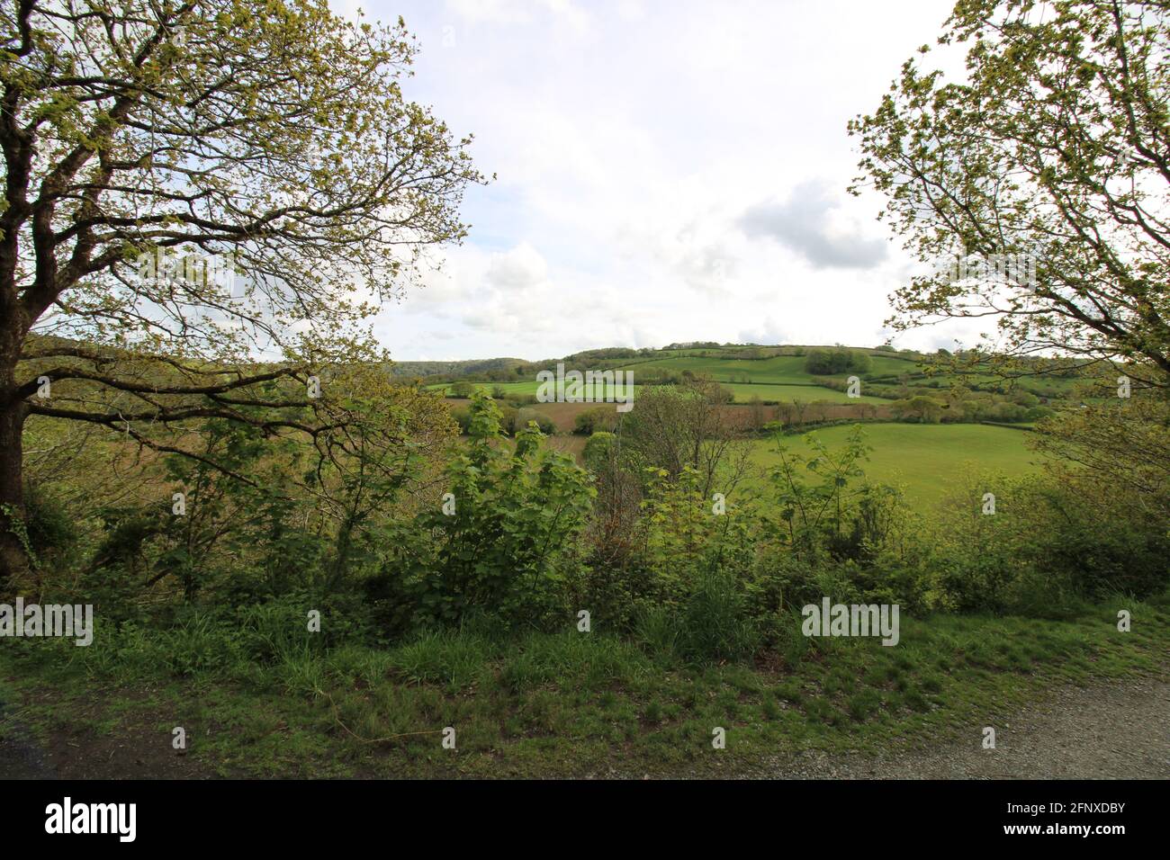 walk in the stuning nature of North Devon area Stock Photo - Alamy