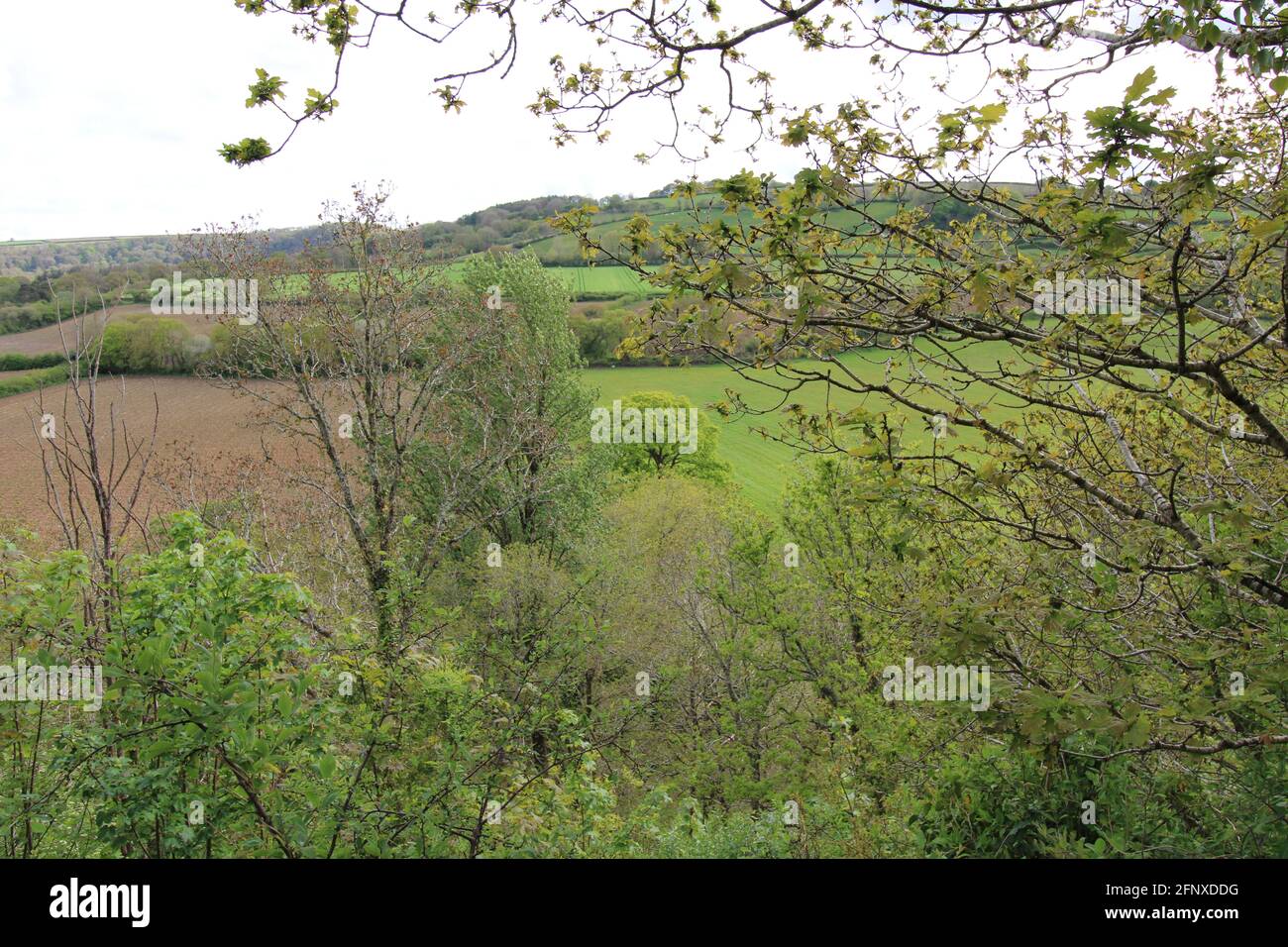 walk in the stuning nature of North Devon area Stock Photo - Alamy