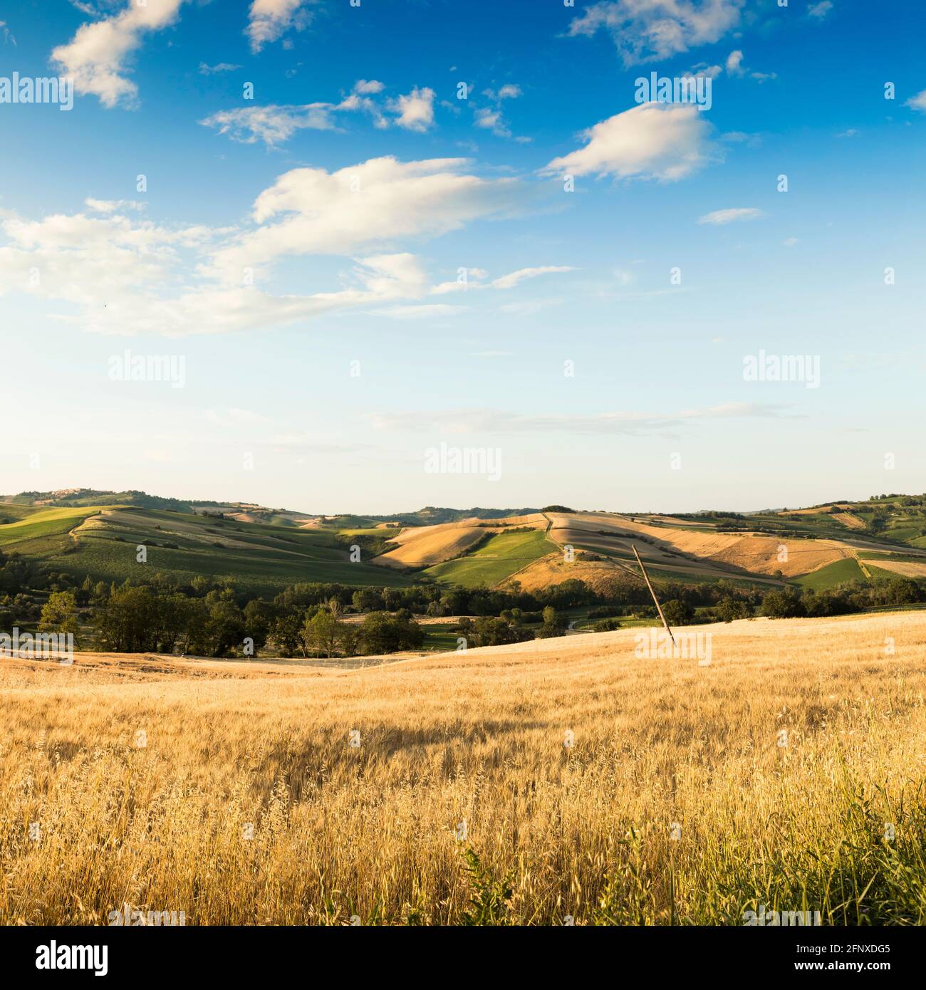 Spring hills hi-res stock photography and images - Alamy