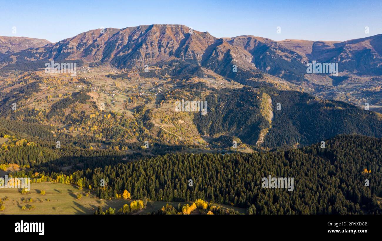 Photo of the unique combination of trees and mountains under the blue ...