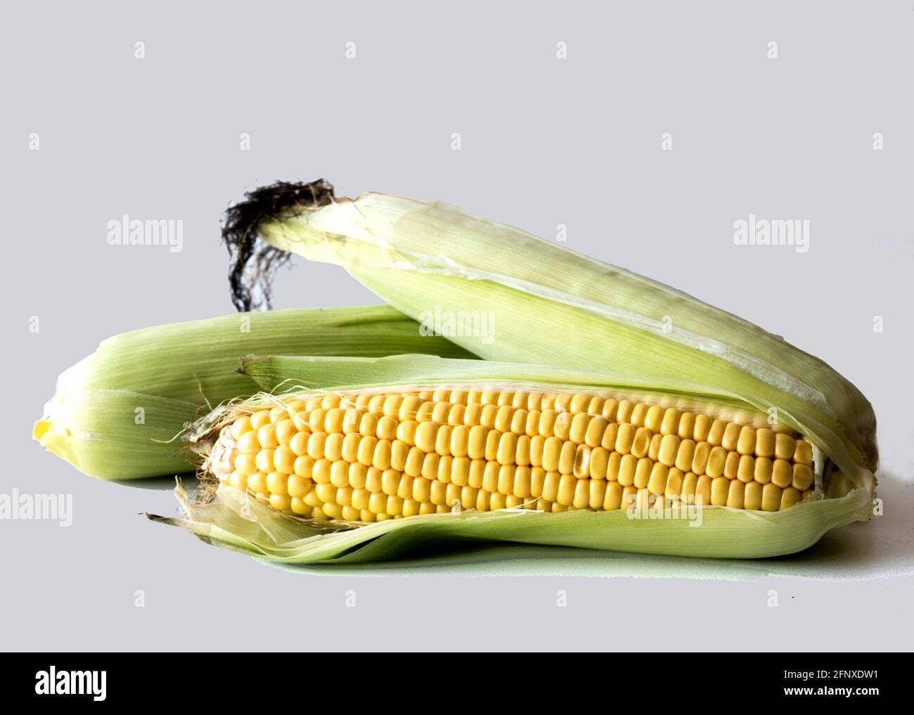 Corn plot hi-res stock photography and images - Alamy