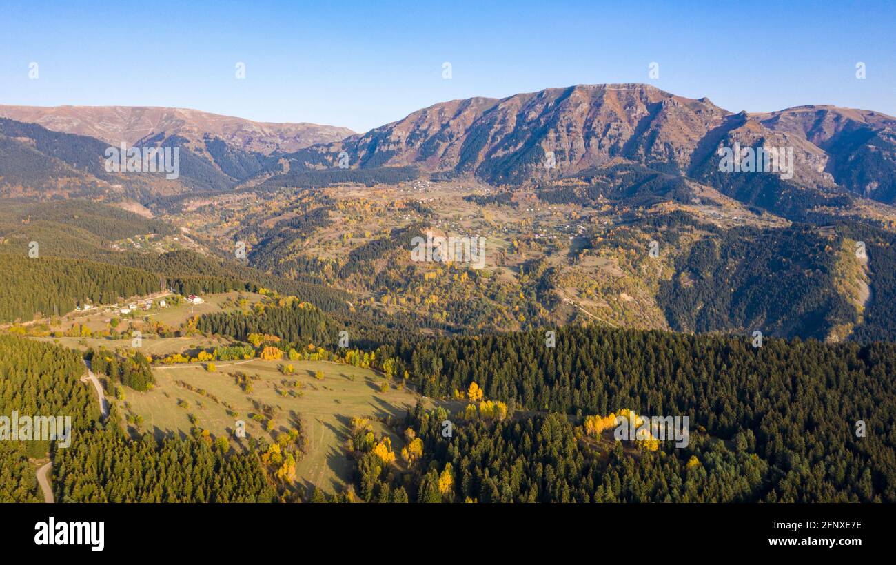 Photo of the unique combination of trees and mountains under the blue ...