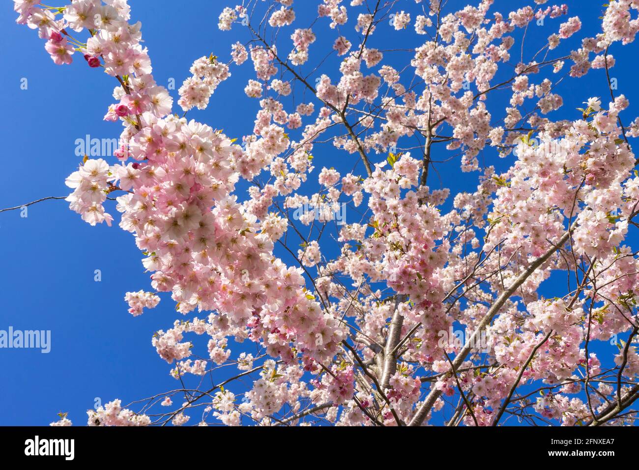 Beautiful Sunny Spring Day