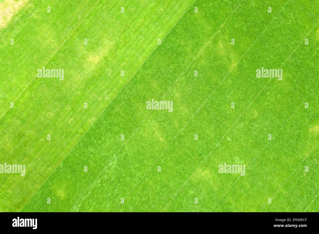 Close up aerial view of surface of green freshly cut grass on football ...