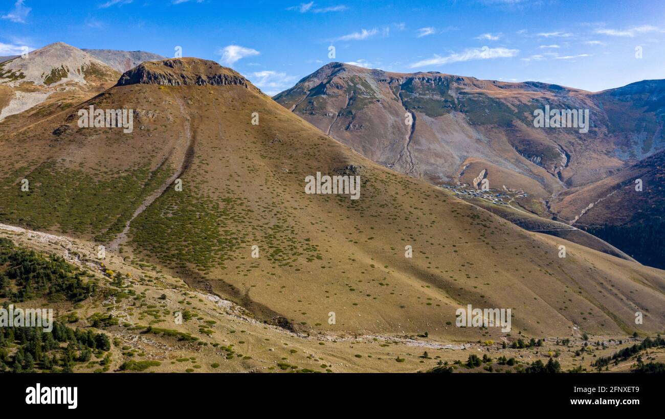 Photo of the unique combination of trees and mountains under the blue ...
