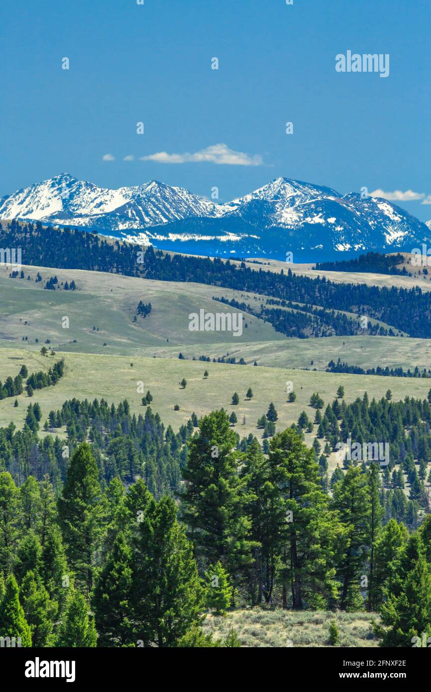 Philipsburg Montana High Resolution Stock Photography and Images - Alamy