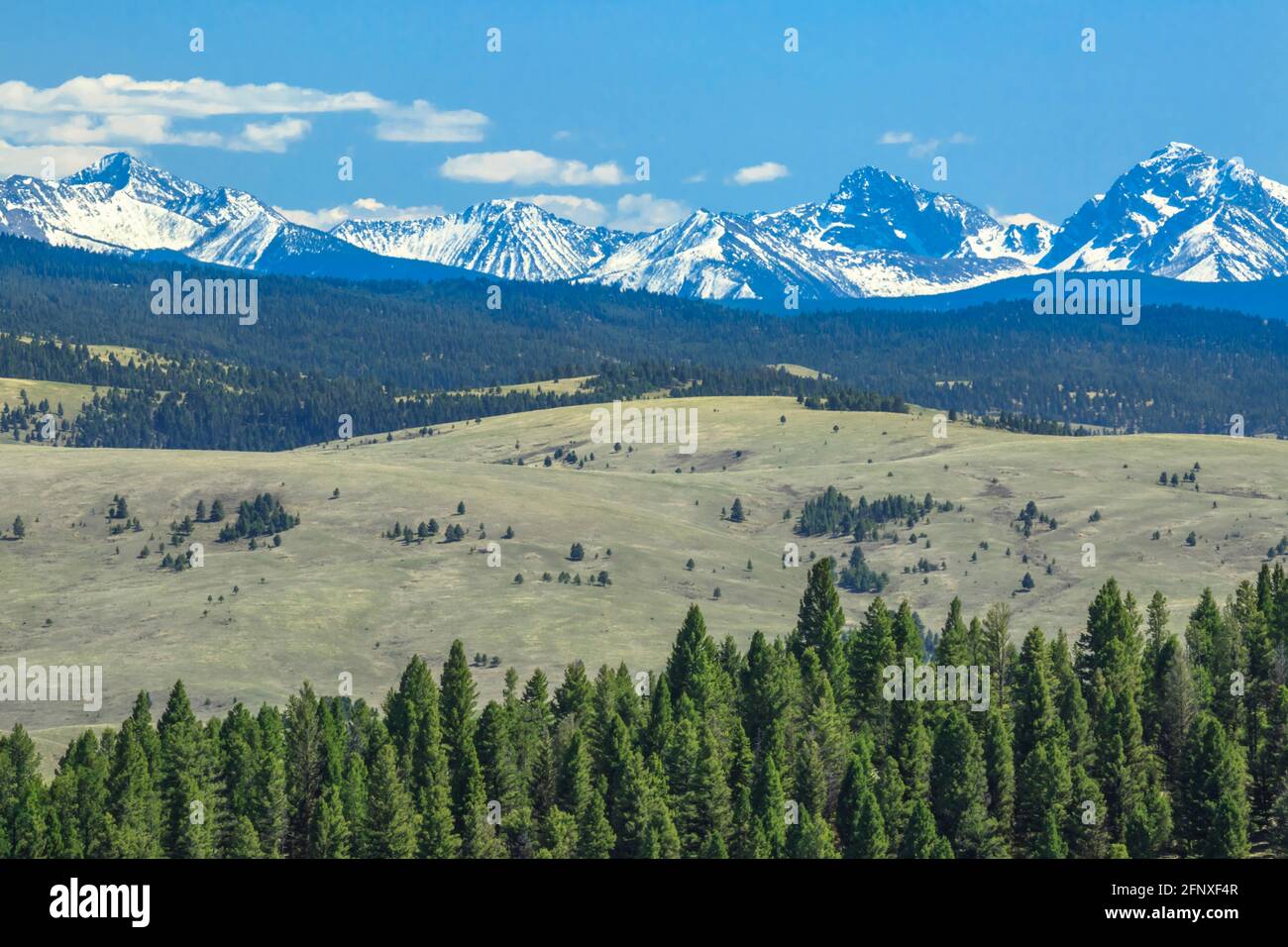 Anaconda range hi-res stock photography and images - Alamy