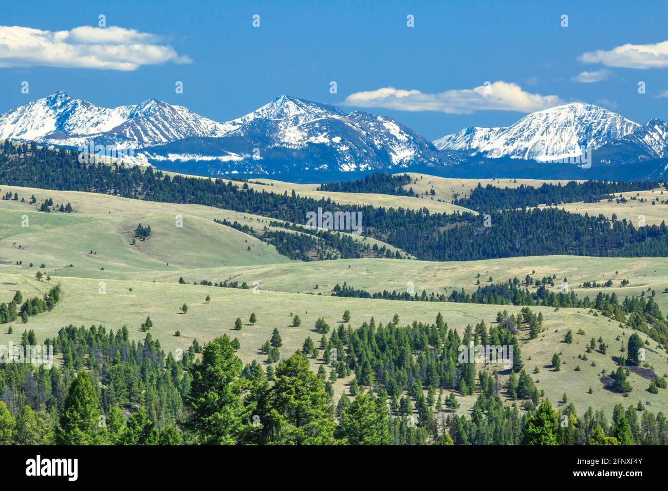 Anaconda range hi-res stock photography and images - Alamy