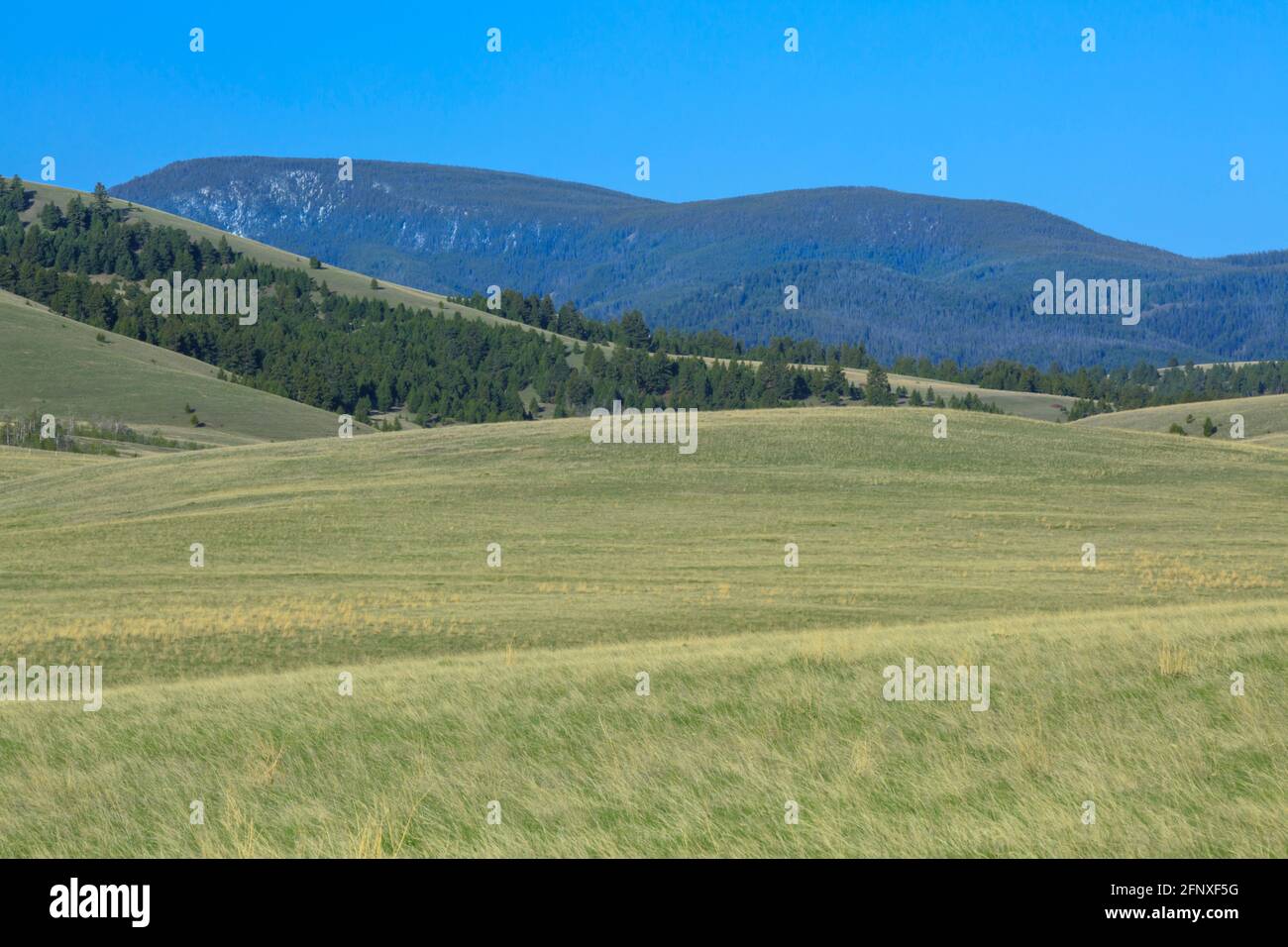 D1065 hi-res stock photography and images - Alamy