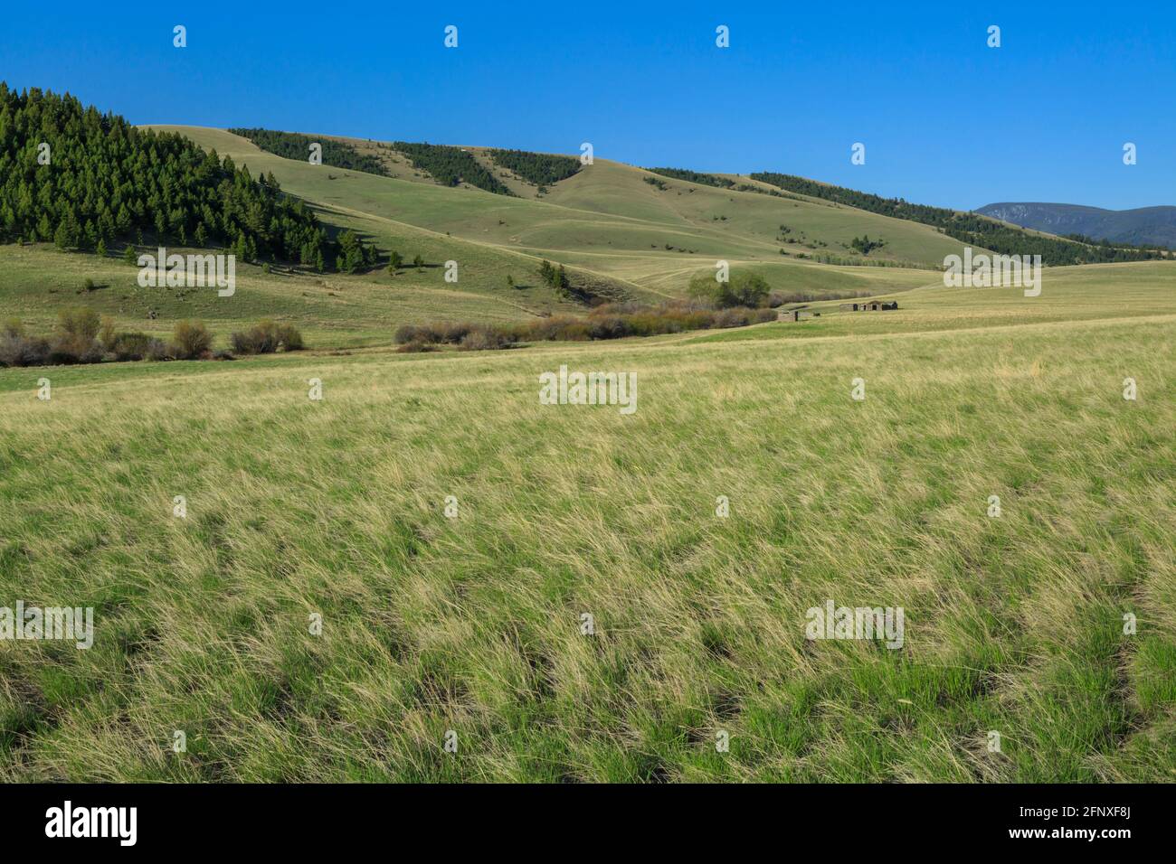 rangeland and old cabins in the foothills of the john long mountains ...