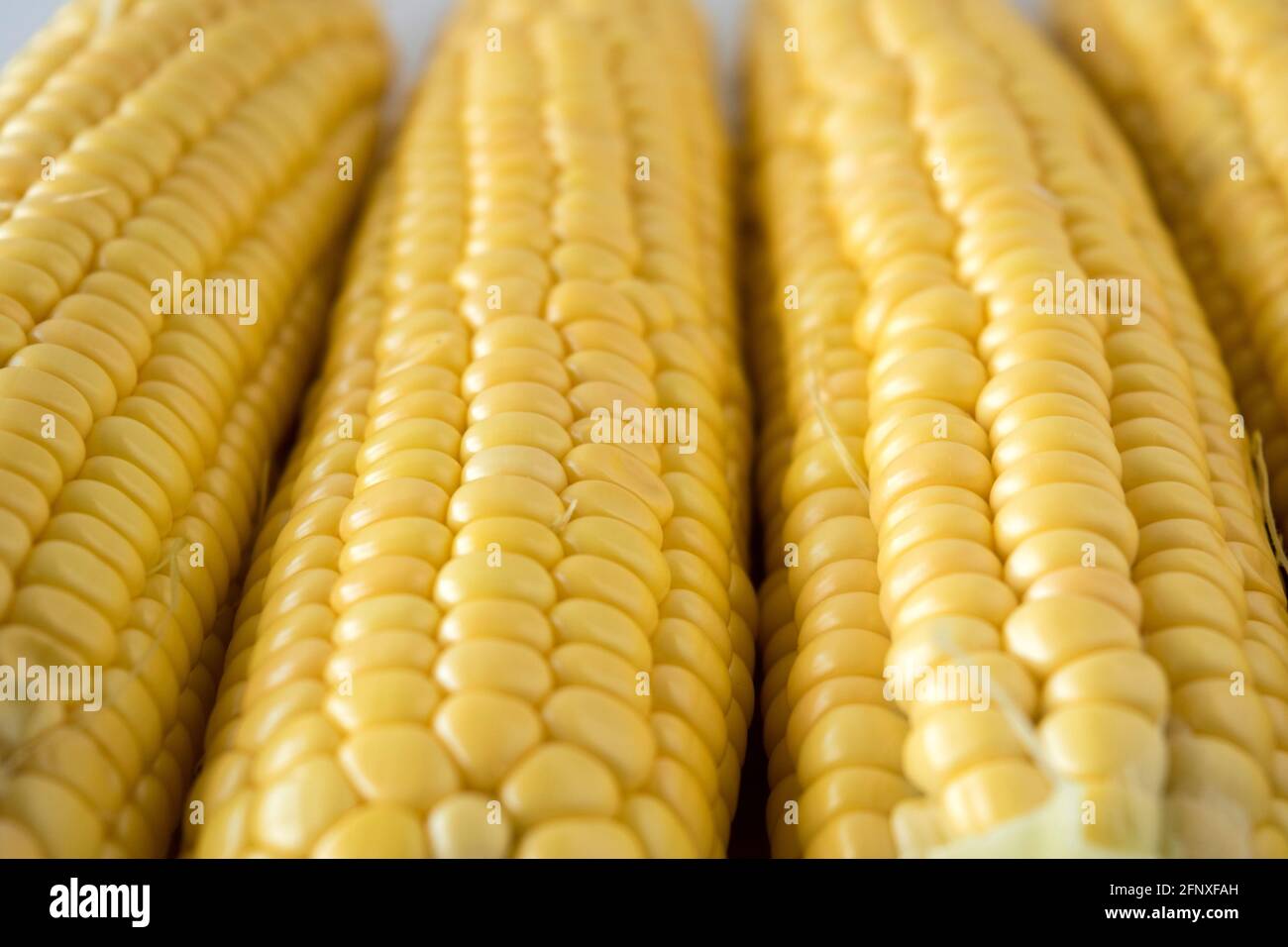 Corn plot hi-res stock photography and images - Alamy