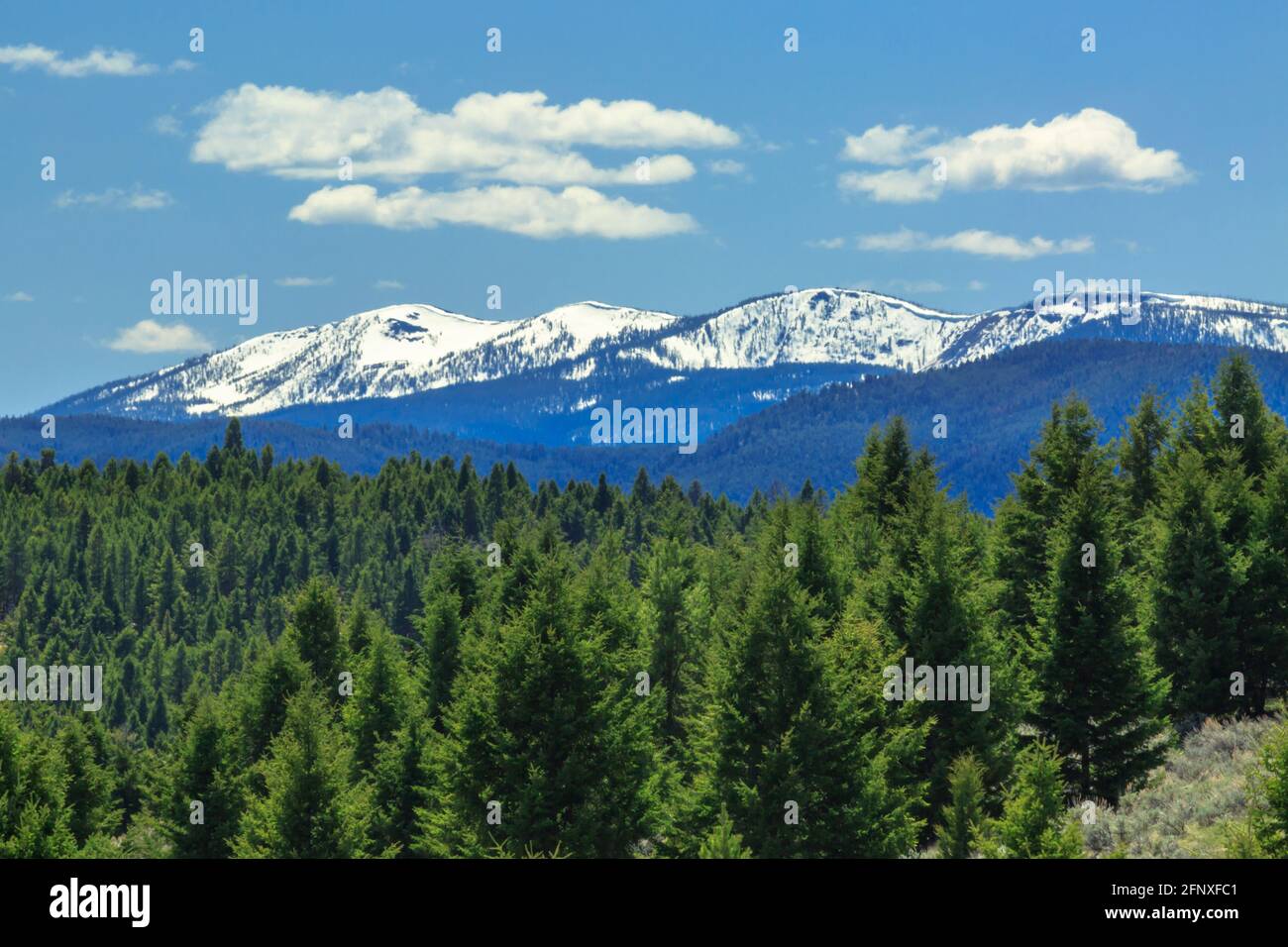 Sapphire mountains montana hi-res stock photography and images - Alamy