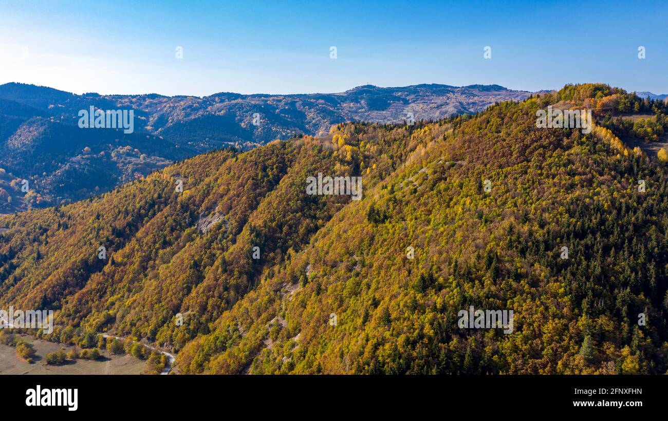 Photo of the unique combination of trees and mountains under the blue ...
