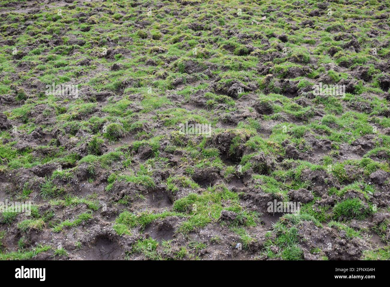 Animal Trodden High Resolution Stock Photography and Images - Alamy