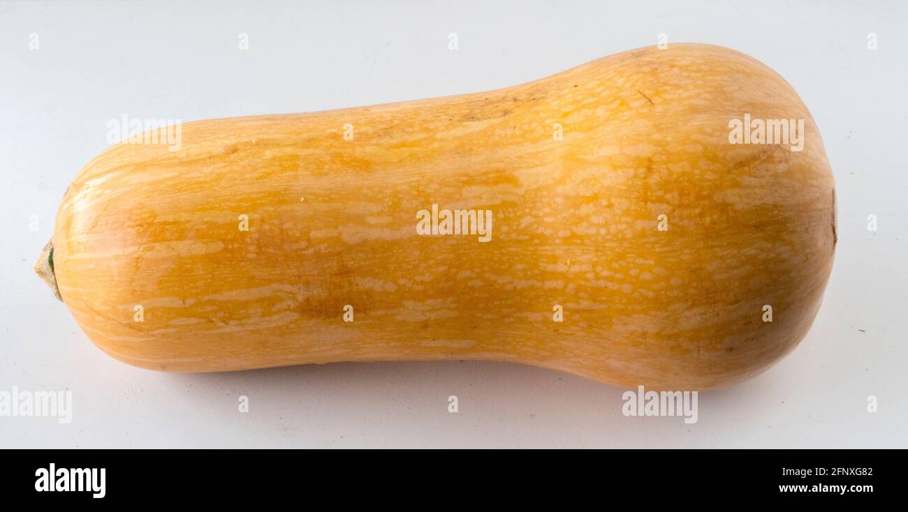 Squash plot hi-res stock photography and images - Alamy