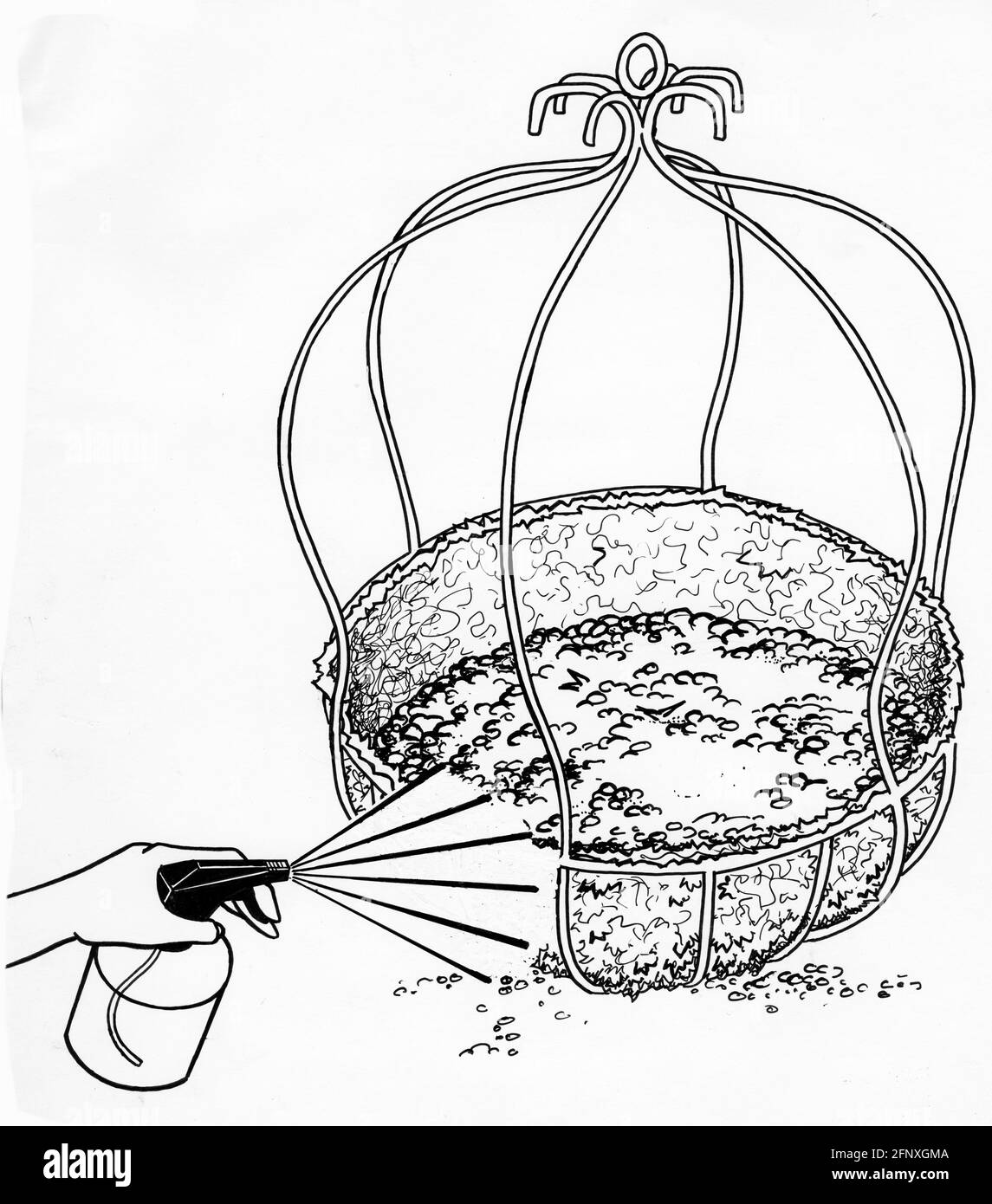 A drawing of a hand sprayer spraying a sphagnum moss liner in a large ...