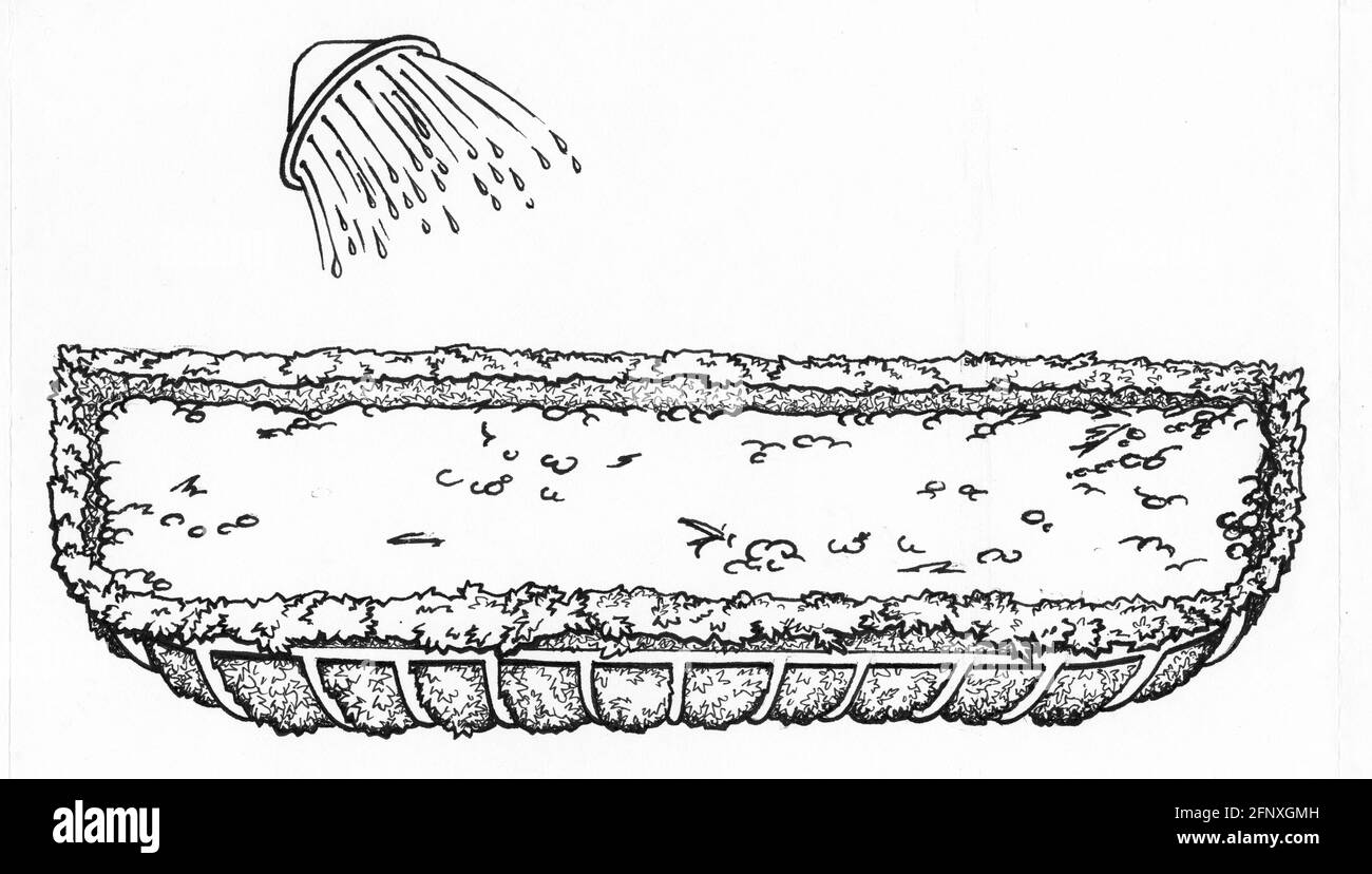 Watering can planter hi-res stock photography and images - Alamy