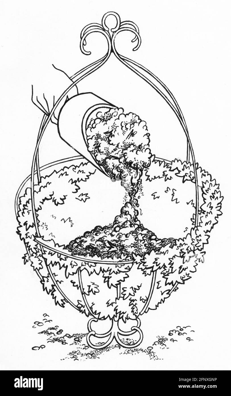 Mix of nature Black and White Stock Photos & Images - Alamy