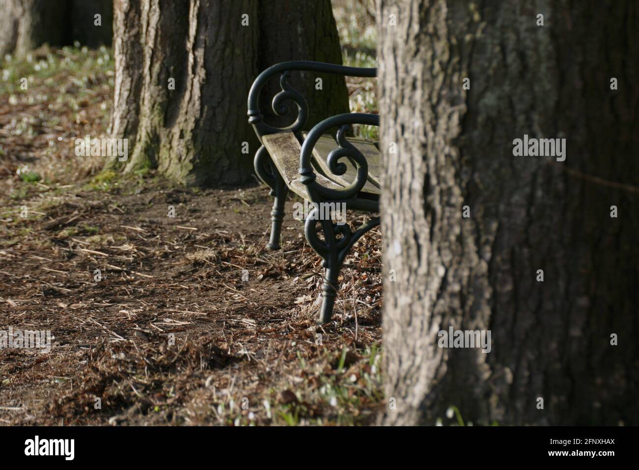 Bank forest hi-res stock photography and images - Alamy