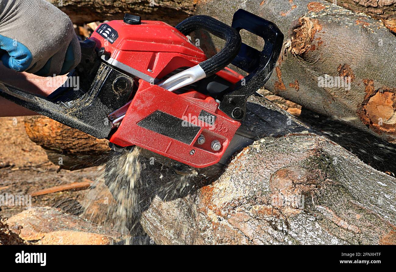 Closeup of a male hand cutting large logs with a chainsaw, shooting ...