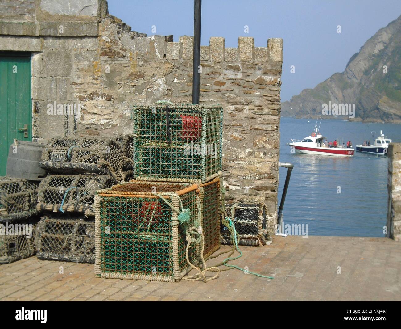 Devon Crab High Resolution Stock Photography and Images - Alamy