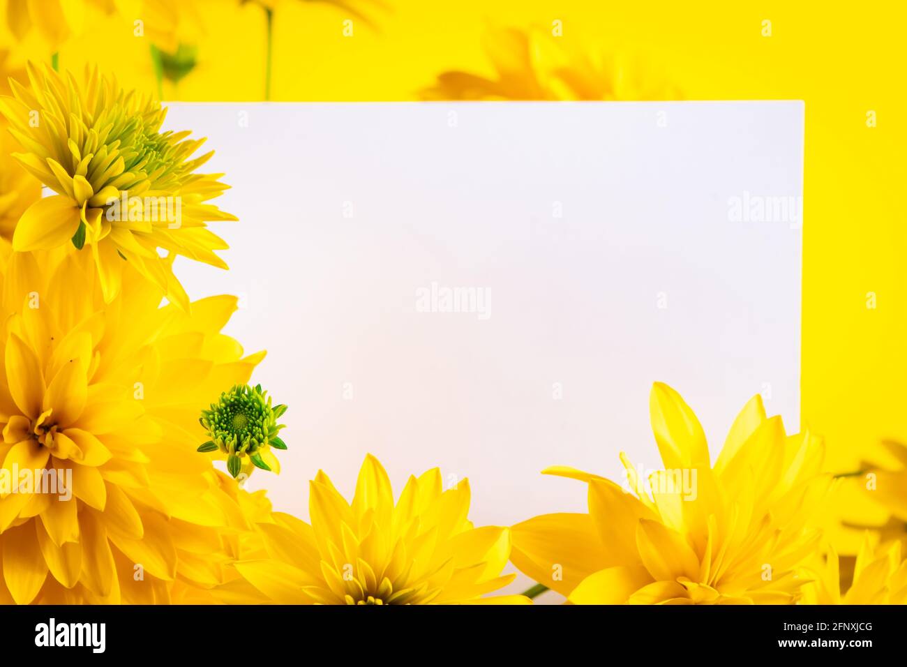 Blank Flower Greeting Card